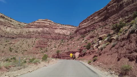 Moki Stock Video Footage | Royalty Free Moki Videos | Pond5