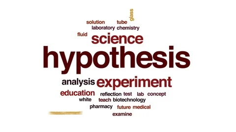 Hypothesis Stock Video Footage | Royalty Free Hypothesis Videos | Pond5