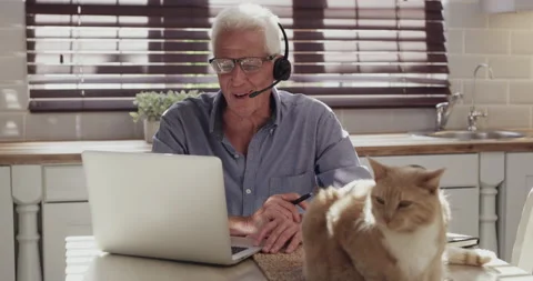 Find The Videos Stock Videos – Royalty-Free HD & 4K Videos