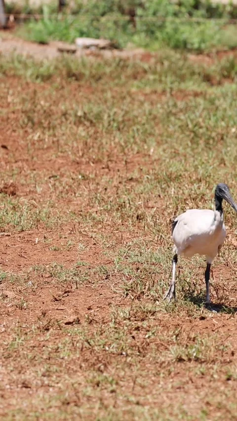 Sharing Space Stock Videos – Royalty-Free HD & 4K Videos | Pond5