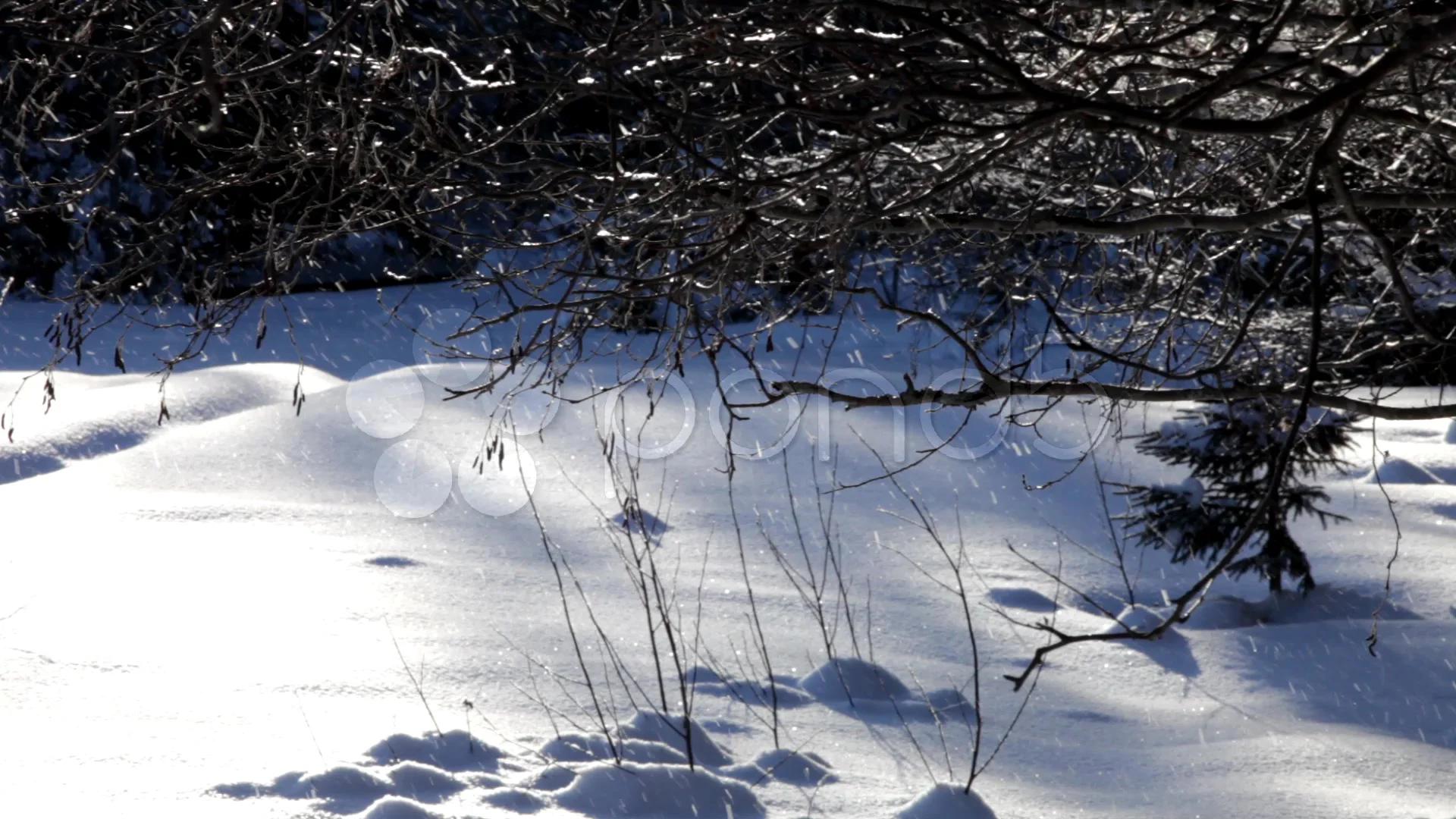 Ice Crystals That Fall From The Sky 30+ Ice Crystals That Fall From