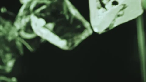 The Throw Down Stock Videos – Royalty-Free HD & 4K Videos