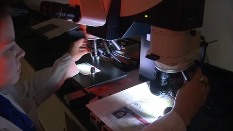 Staff Ice Stock Videos – Royalty-Free HD & 4K Videos | Pond5