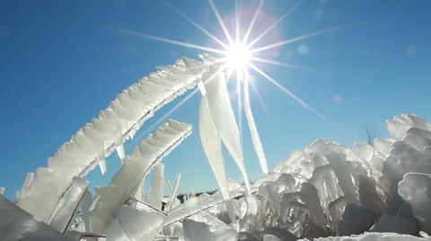 Ice Jungle Stock Videos – Royalty-Free HD & 4K Videos | Pond5