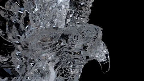 Ice Sculpture Shots Stock Videos – Royalty-Free HD & 4K Videos