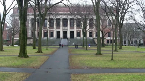 Harvard Stock Footage ~ Royalty Free Stock Videos | Pond5
