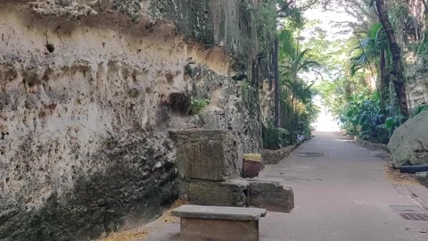 Iconic tropical pathway leading to Queen... | Stock Video | Pond5