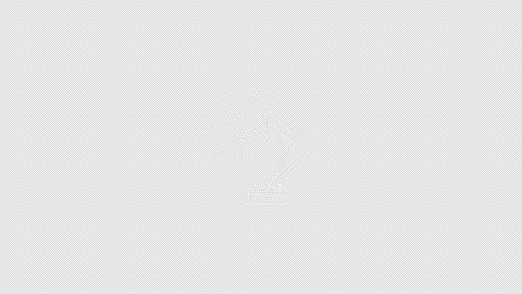 Clear Award Trophy Stock Videos – Royalty-Free HD & 4K Videos