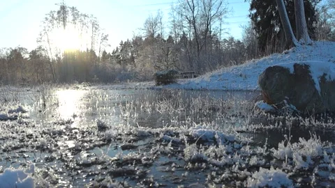 Icy Pond Stock Videos – Royalty-Free HD & 4K Videos | Page 5
