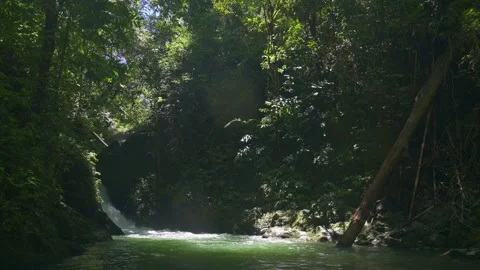 Scenes From Hidden Stock Videos – Royalty-Free HD & 4K Videos