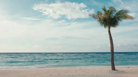 Idyllic tropical static landscape with q... | Stock Video | Pond5