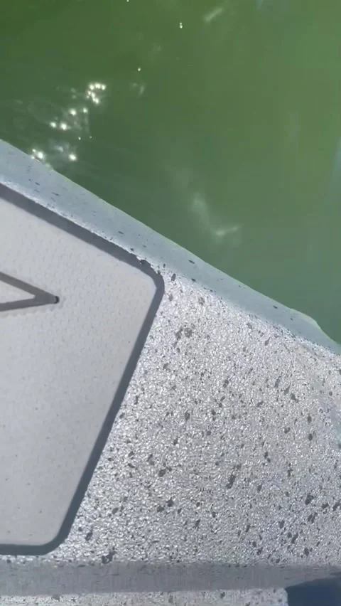 Voice My Voice Stock Videos – Royalty-Free HD & 4K Videos