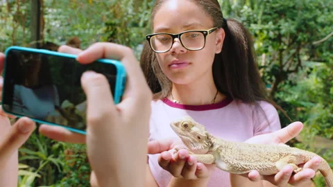 Zoho Social Stock Videos – Royalty-Free HD & 4K Videos