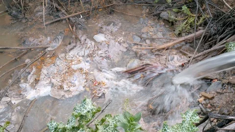 Illegal waste water pipe rejecting and p... | Stock Video | Pond5