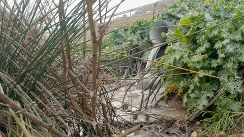 Illegal waste water pipe rejecting and p... | Stock Video | Pond5