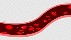 Blood Vessels Cartoon