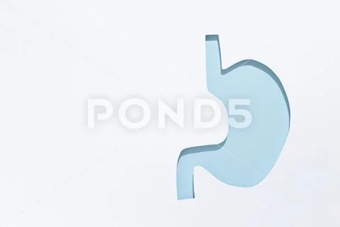 Illustration of a human stomach made from paper. Illustration #163921016