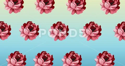 Illustration of rows of red flowers on blue background: Royalty Free ...