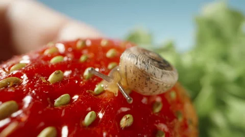 Im Holding On Stock Videos – Royalty-Free HD & 4K Videos | Pond5