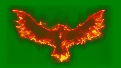 Images Flames Stock Videos – Royalty-Free HD & 4K Videos | Pond5