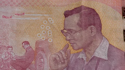 Images Of Monarchs Stock Videos – Royalty-Free HD & 4K Videos