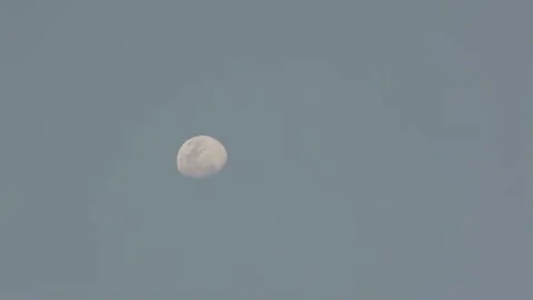 Moon Day Images Stock Videos – Royalty-Free HD & 4K Videos | Pond5