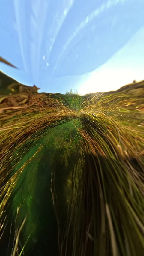 Vam Immersive Scene Stock Video Footage | Royalty Free Vam Immersive ...