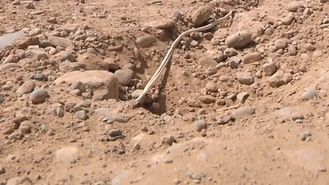 Ied Explosion Stock Videos – Royalty-Free HD & 4K Videos | Pond5