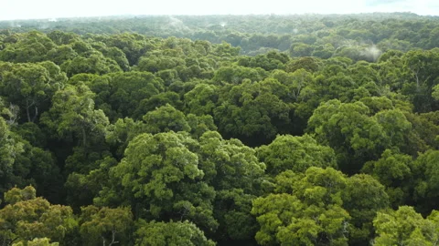 Incredible aerial flyover shot looking o... | Stock Video | Pond5