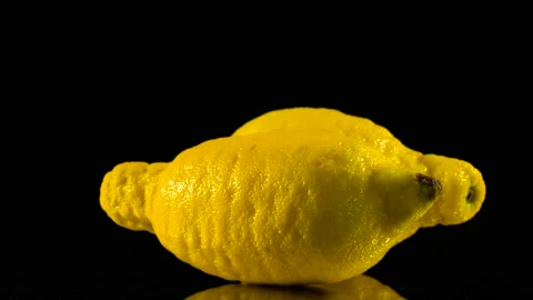 Incredible lemon shape on a rotating pla... | Stock Video | Pond5
