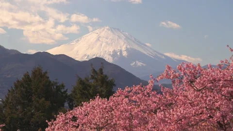 Incredible scenery of Mount Fuji and Pin... | Stock Video | Pond5