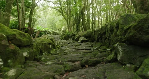 Incredible scenery of untouched landscap... | Stock Video | Pond5