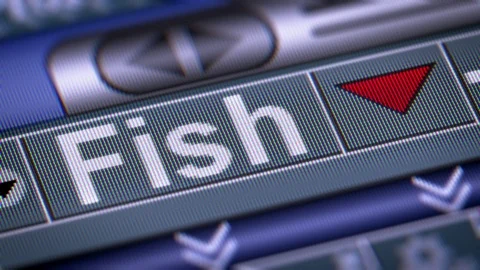 Looping Fish Stock Video Footage | Royalty Free Looping Fish Videos | Pond5