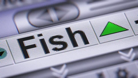 Looping Fish Stock Video Footage | Royalty Free Looping Fish Videos | Pond5