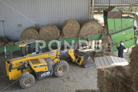 India, CNG Biogas fuel INDIA, Punjab, Lehragaga, Verbio biogas plant ...
