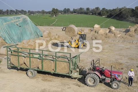 Photograph: India, CNG Biogas fuel INDIA, Punjab, Lehragaga, Verbio ...
