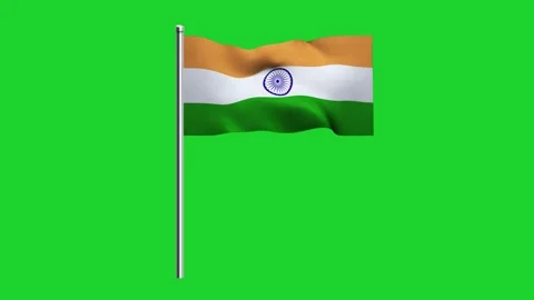 Flag With Stick Stock Videos – Royalty-Free HD & 4K Videos | Pond5