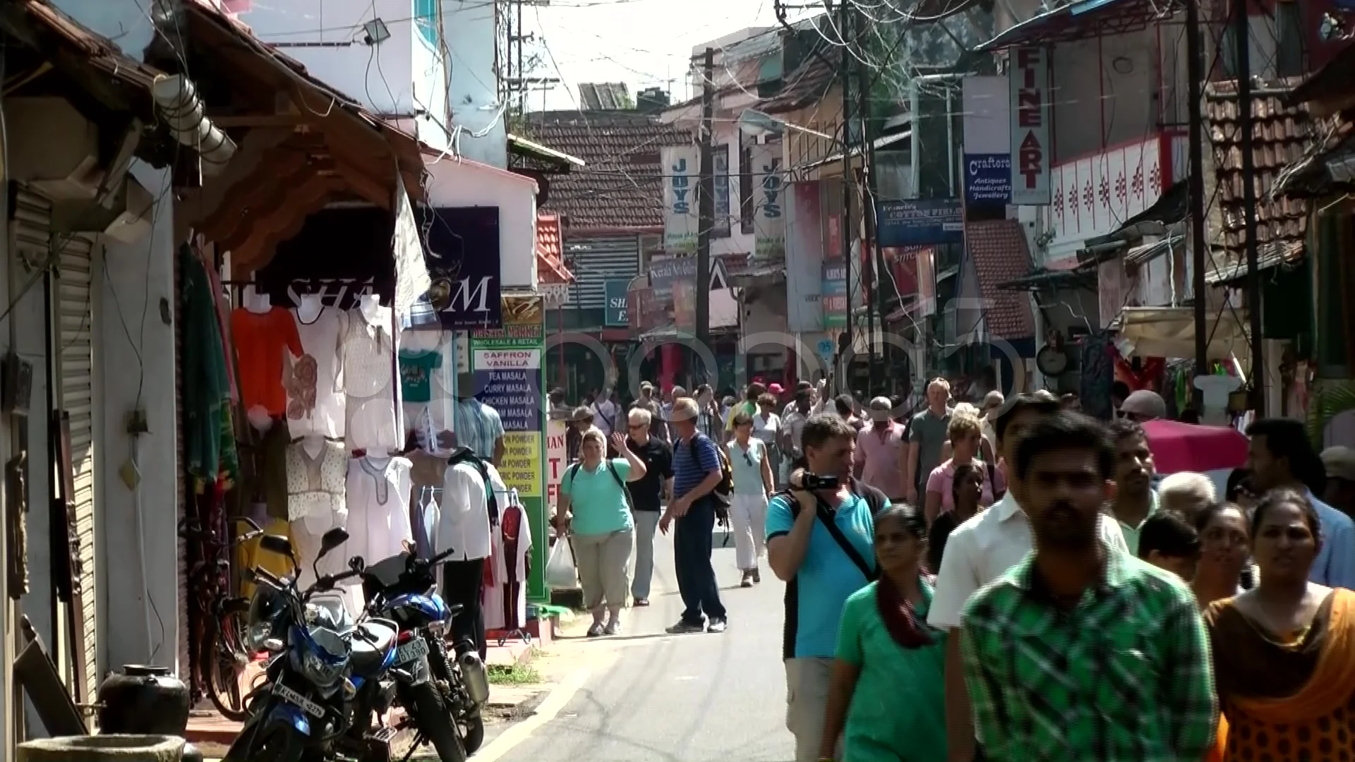 India Kerala Town The Kerala Native Who Journeyed Into India's Jungle