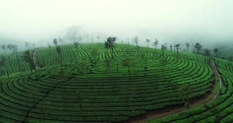 Vagamon Stock Video Footage | Royalty Free Vagamon Videos | Pond5