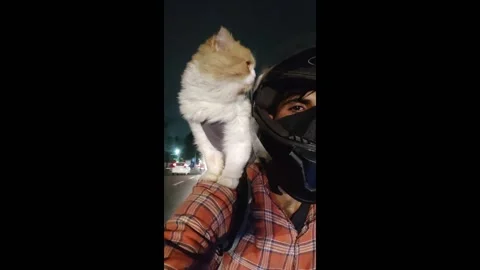 Shoulder Ride Stock Video Footage | Royalty Free Shoulder Ride Videos ...