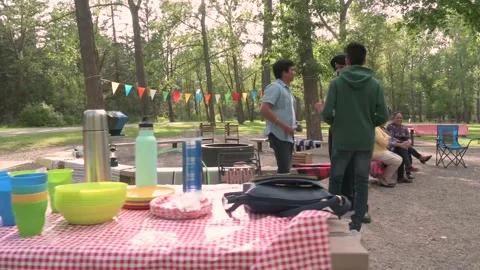 Indian family in park with picnic table ... | Stock Video | Pond5