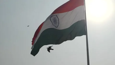 Indian flag moving slowly with bird flyi... | Stock Video | Pond5