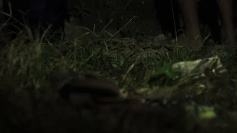 Indian Police Girl Stock Videos – Royalty-Free HD & 4K Videos