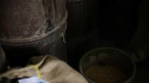 Indian male person doing birds food pour... | Stock Video | Pond5