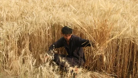 Power Stocking Stock Videos – Royalty-Free HD & 4K Videos | Pond5