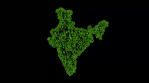 Indian map with green grass effect on pl... | Stock Video | Pond5