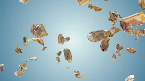 Rupee Flying Stock Footage ~ Royalty Free Stock Videos | Pond5