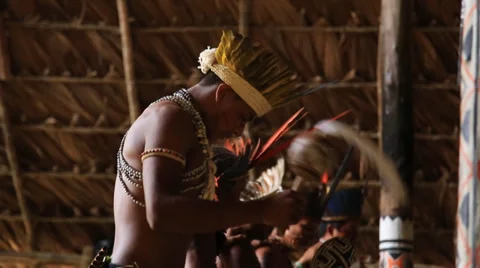 Kamayura Stock Video Footage | Royalty Free Kamayura Videos | Pond5