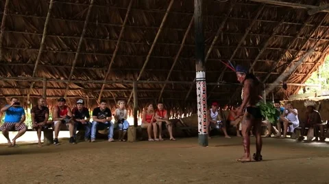 Kamayura Stock Video Footage | Royalty Free Kamayura Videos | Pond5