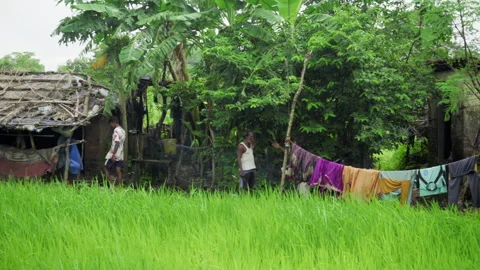 Indian village house at rice field, Palg... | Stock Video | Pond5